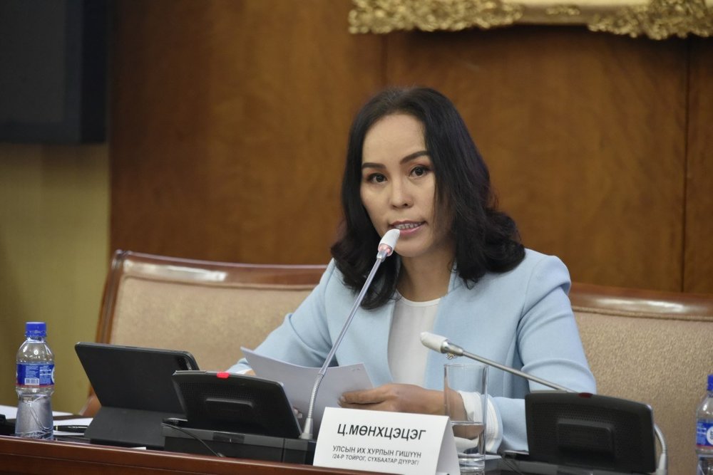 Хүний эрхийн дэд хорооны даргаар УИХ ын гишүүн Ц Мөнхцэцэг томилогдлоо